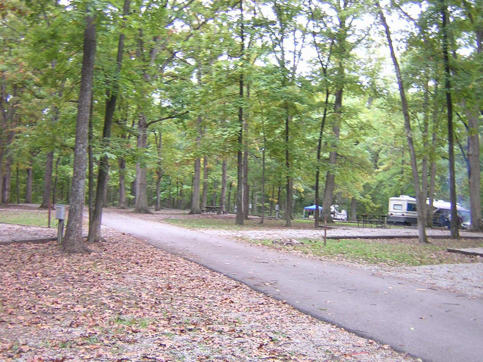 Camper John - Camping